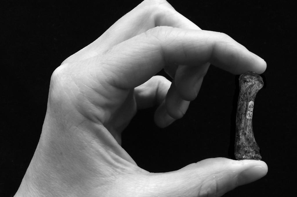 Experts contribute to international news stories - News Centre ...