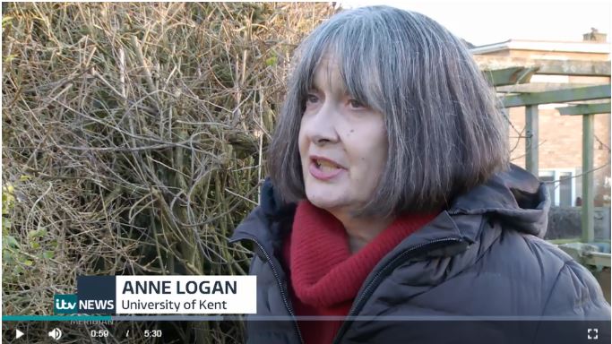 Significance of women’s suffrage in 1918 goes beyond voting - News ...