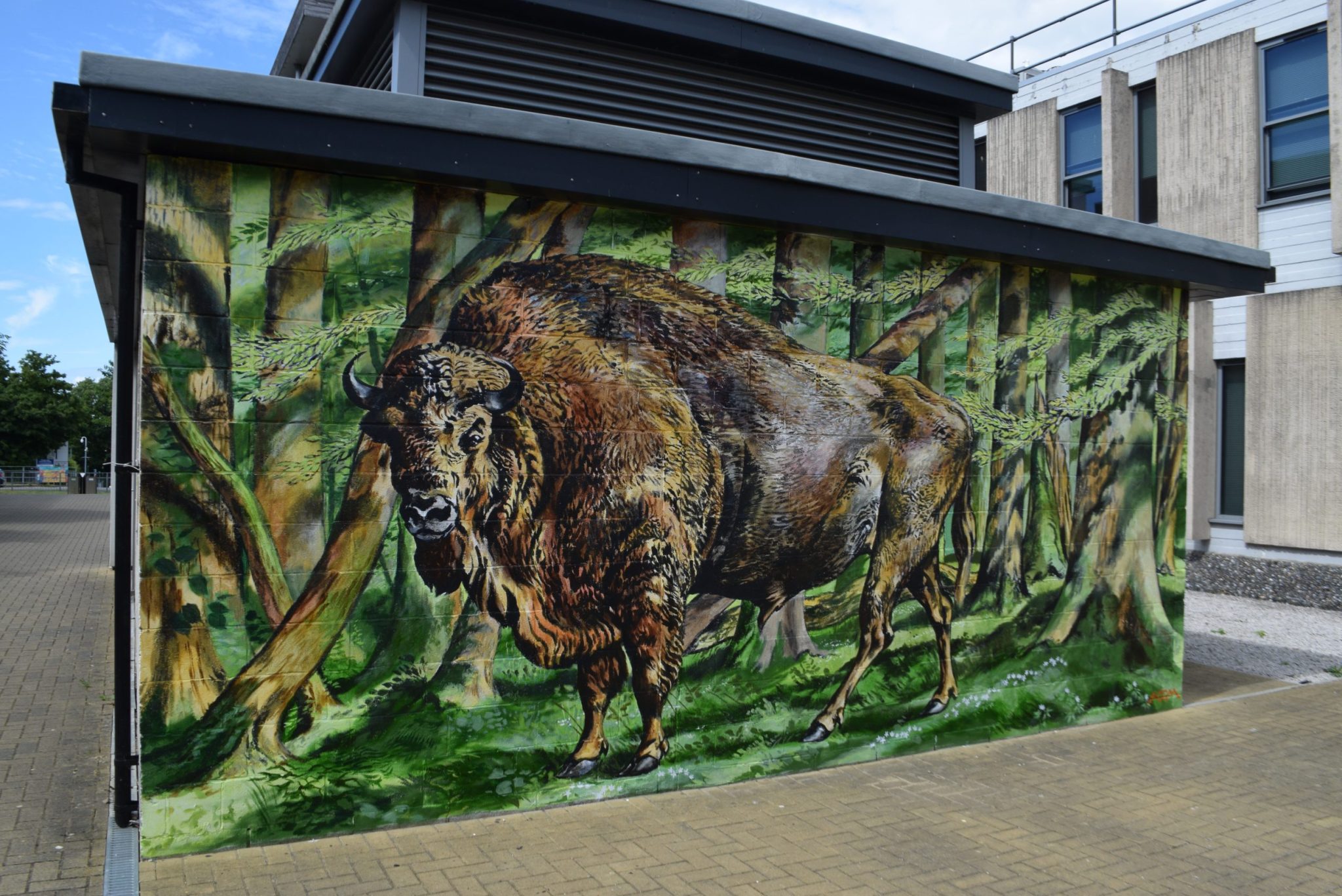 Wilder Blean Bison Mural launched at Canterbury campus - News Centre ...