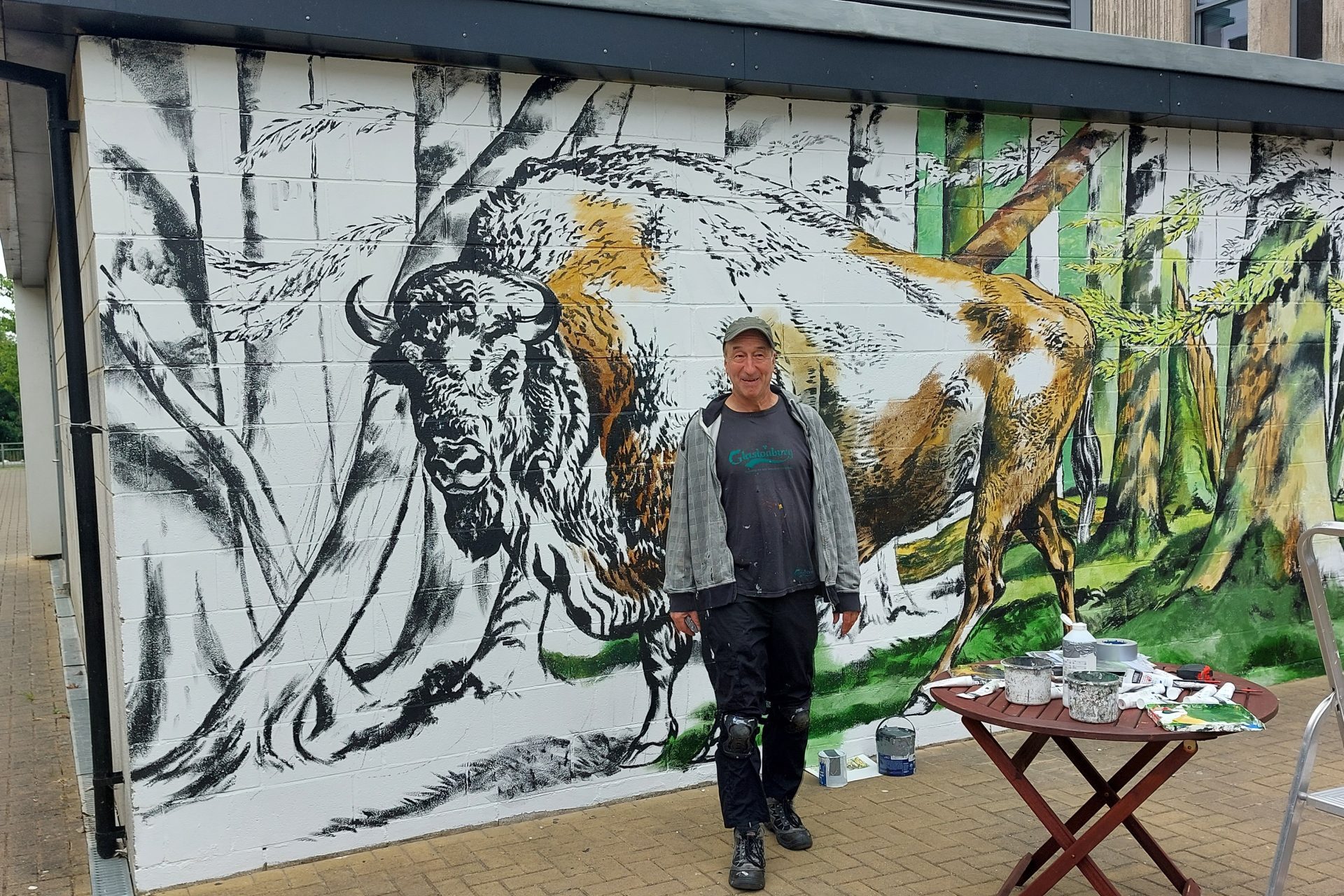Wilder Blean Bison Mural launched at Canterbury campus - News Centre ...