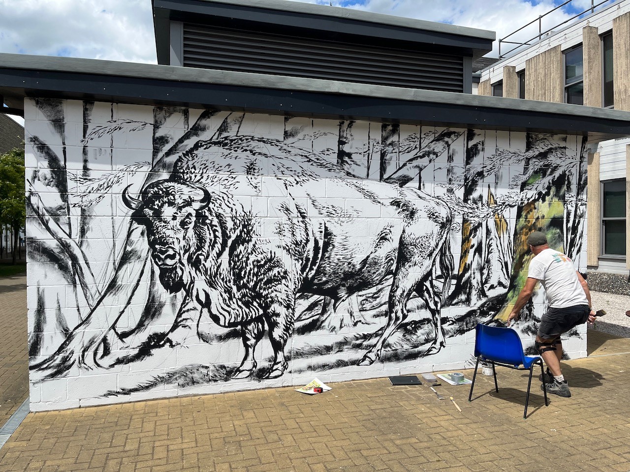 Wilder Blean Bison Mural launched at Canterbury campus - News Centre ...