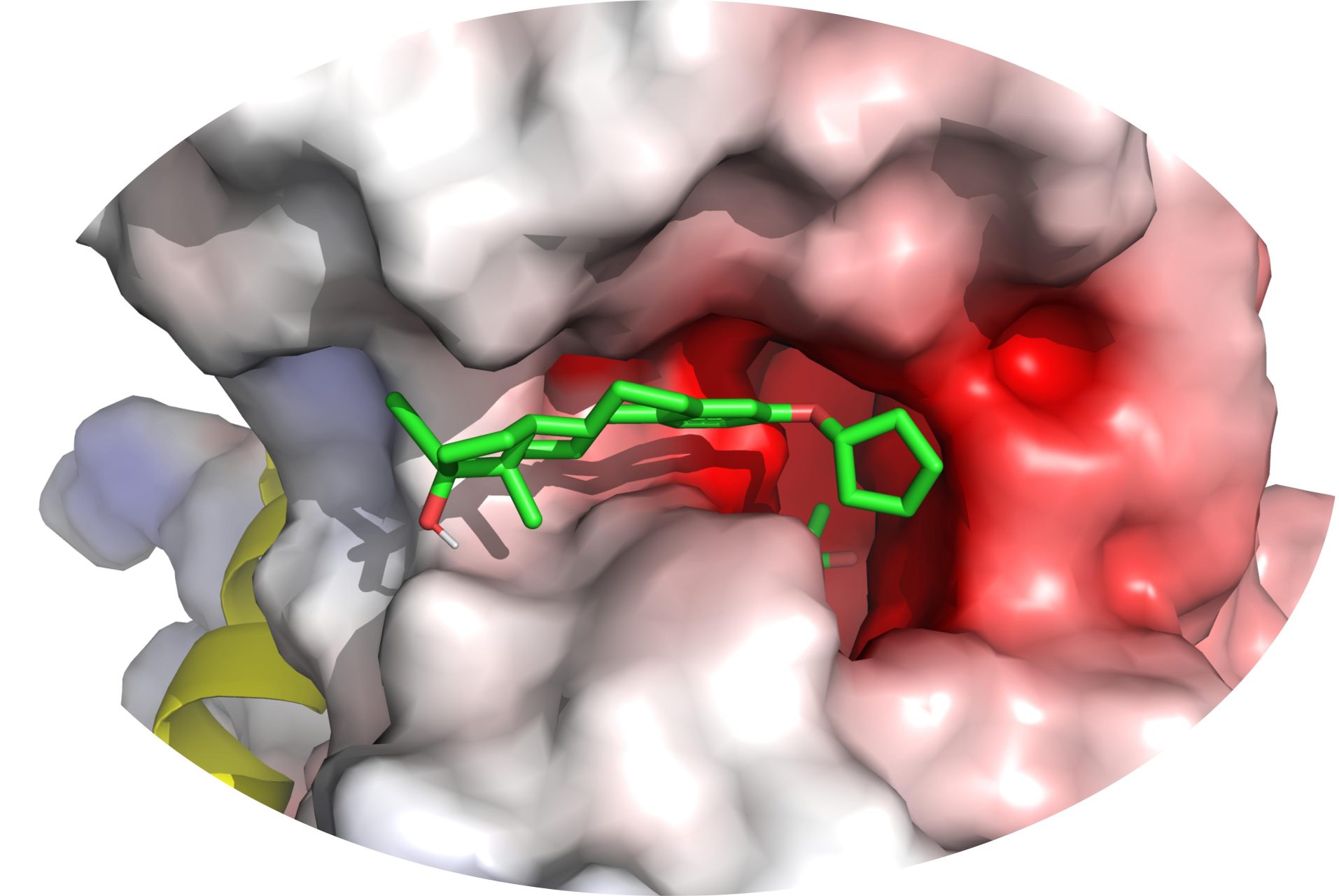 Steroid drugs used for HRT can combat E. coli and MRSA - News Centre ...
