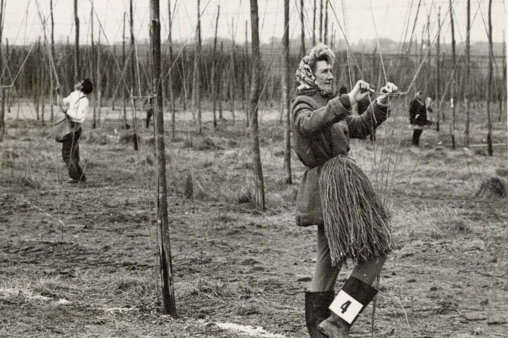 Exhibition to showcase history of hop production in Kent (18 Oct-29 Nov ...