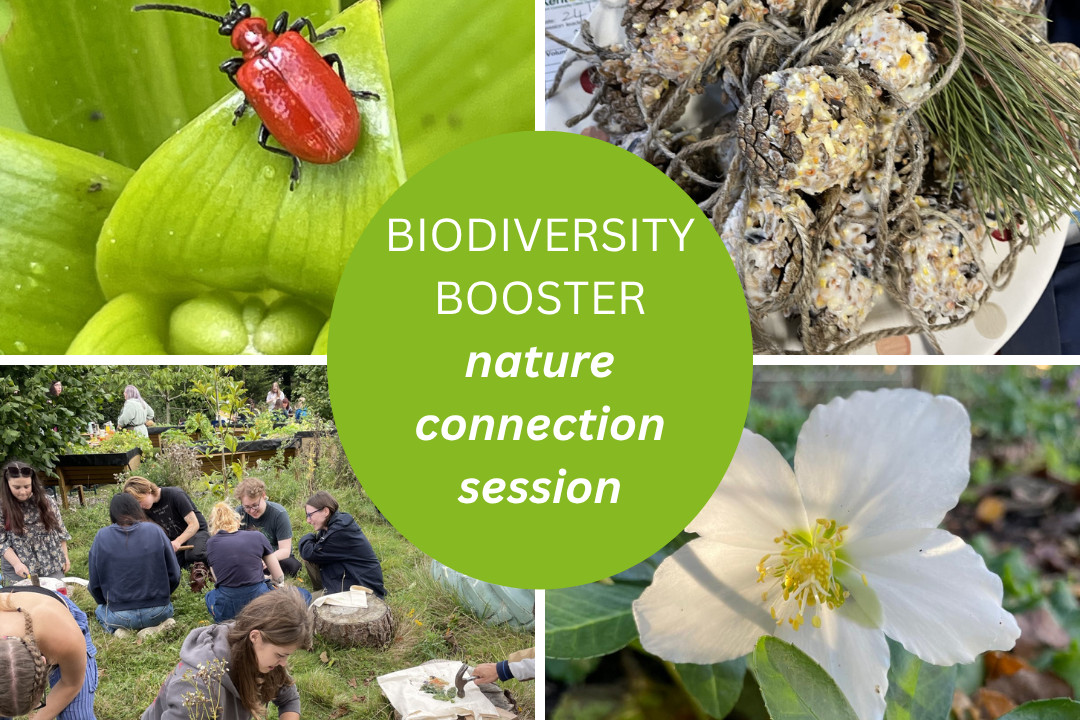 Biodiversity Booster - Pallet Bug 'Hotel' - What's on - University of Kent