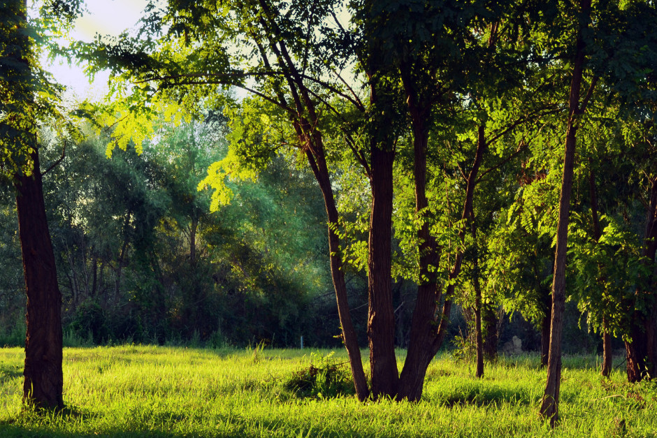 Walking Wednesdays - What's on - University of Kent